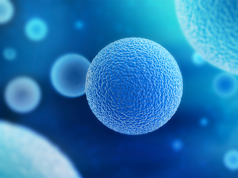 5 most important considerations when testing a new drug - Fermentec